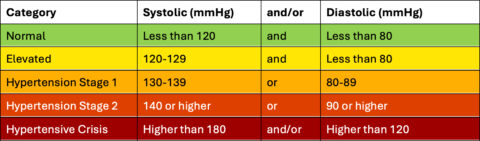 Interpreting Your Brachial Blood Pressure Results Using The Pulse